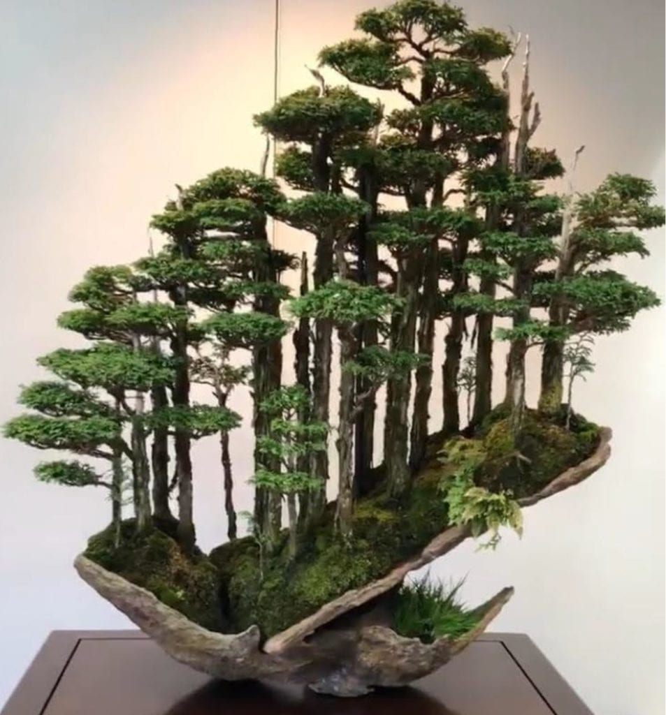 02-Big Cypress Quilters (2025) – Quilting Guild of The Villages